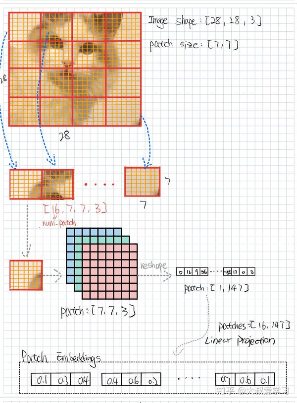 图解Vit 1：Vision Transformer——图像与Transformer基础 - 知乎
