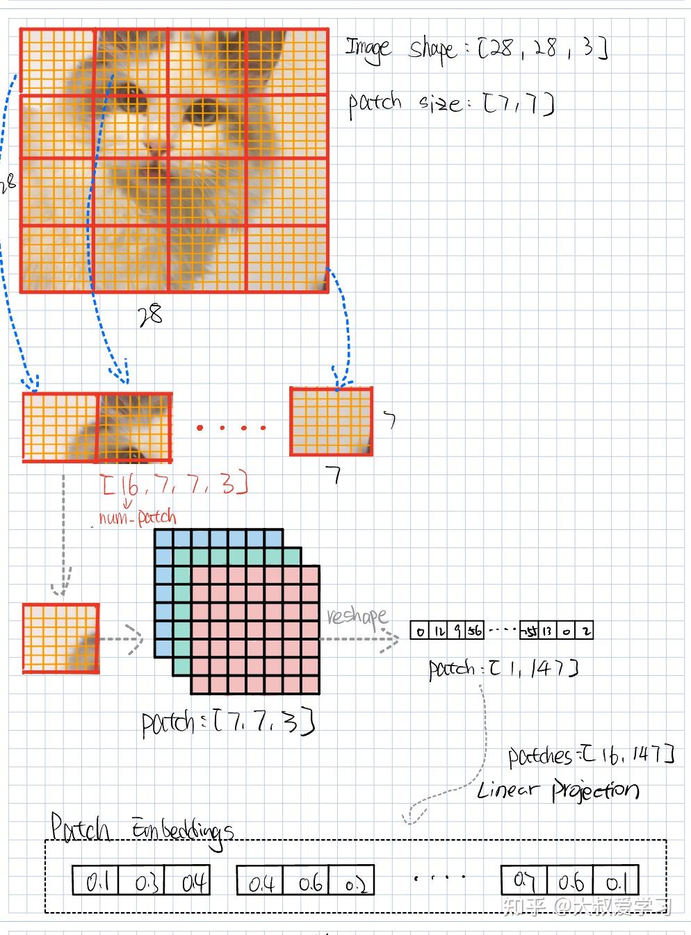 图解Vit 1：Vision Transformer——图像与Transformer基础 - 知乎
