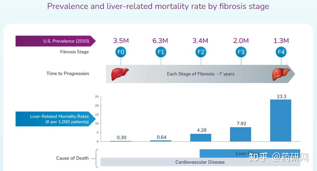 FGF21：NASH领域逆境前行现曙光 - 知乎