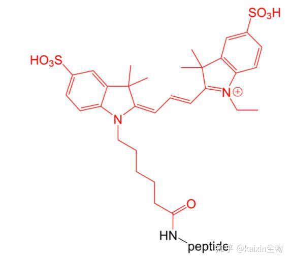 荧光标记多FITC/AMC/FAM/Rhodamine/TAMRA/Cy3/Cy5/Cy7-Peptide - 知乎