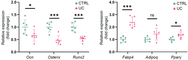 Cell Rep Med｜苏佳灿/徐灿/陈晓团队合作揭秘炎症性肠病骨丢失机制 - 知乎
