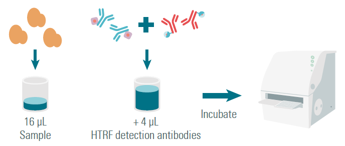 不是所有TR-FRET，都是HTRF 202408 - 知乎