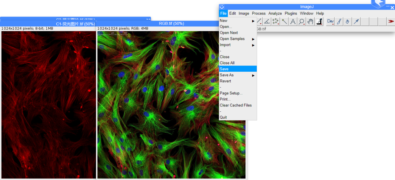 利用Image J 拆分和Merge荧光图片 - 知乎