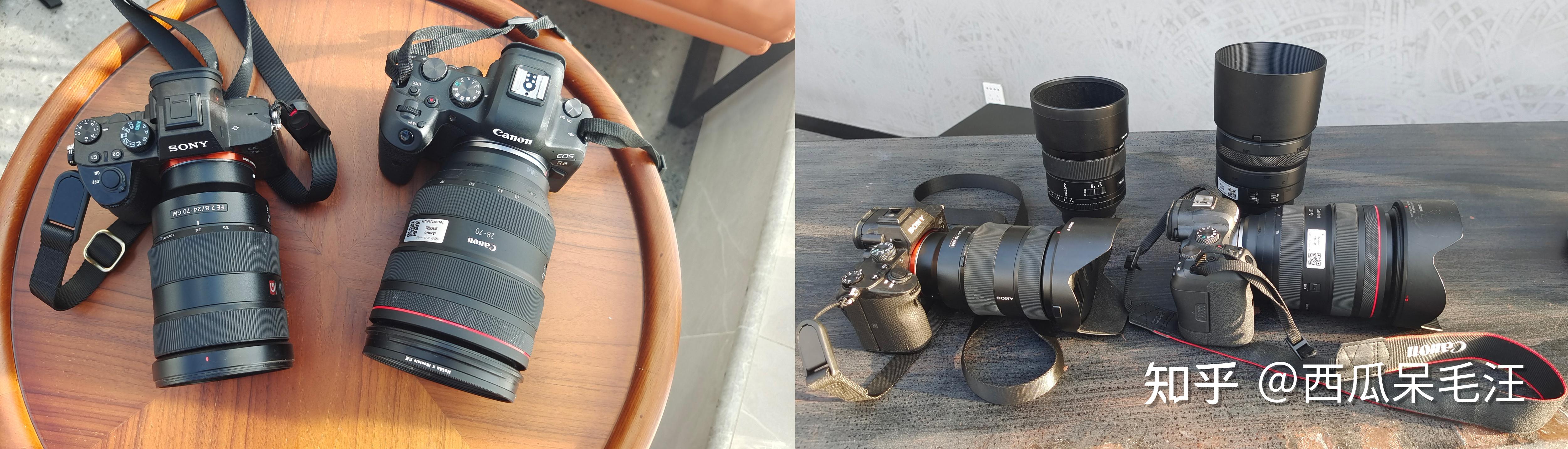 人像肤色差异这么大？佳能EOS R6 VS索尼A7M3人像评测 - 知乎