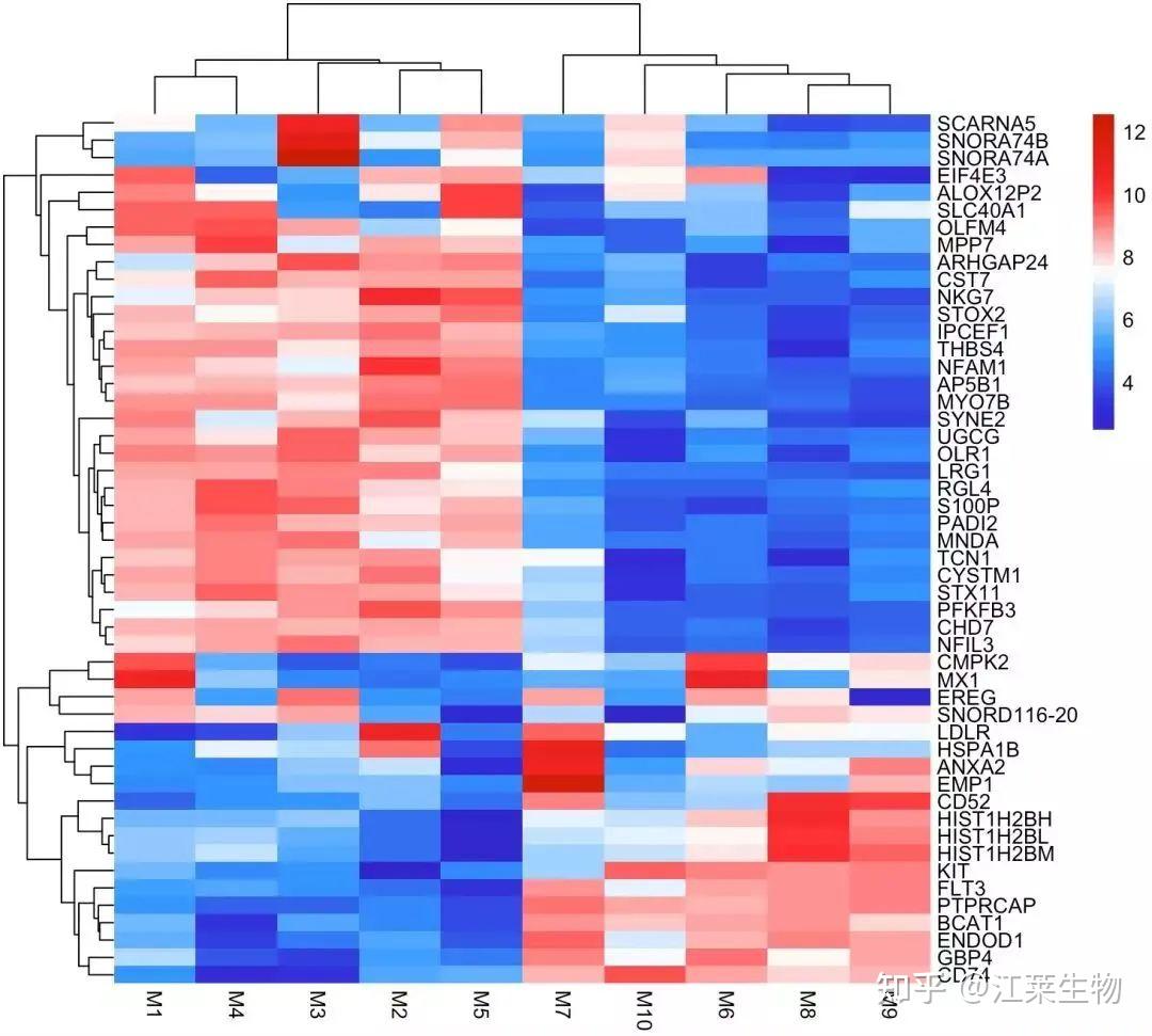 如何看懂文献里那些图——热图(Heatmap) - 知乎