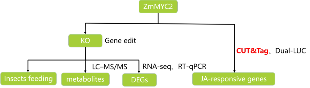 【技术专栏】如何对CUT&Tag项目进行质控 - 知乎