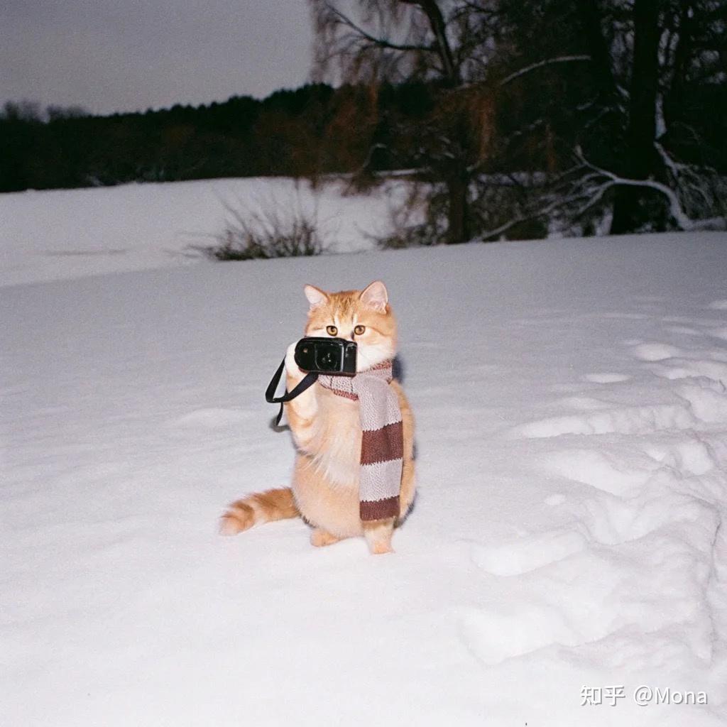 AI设计神器Recraft使用教程-3分钟快速上手 - 知乎