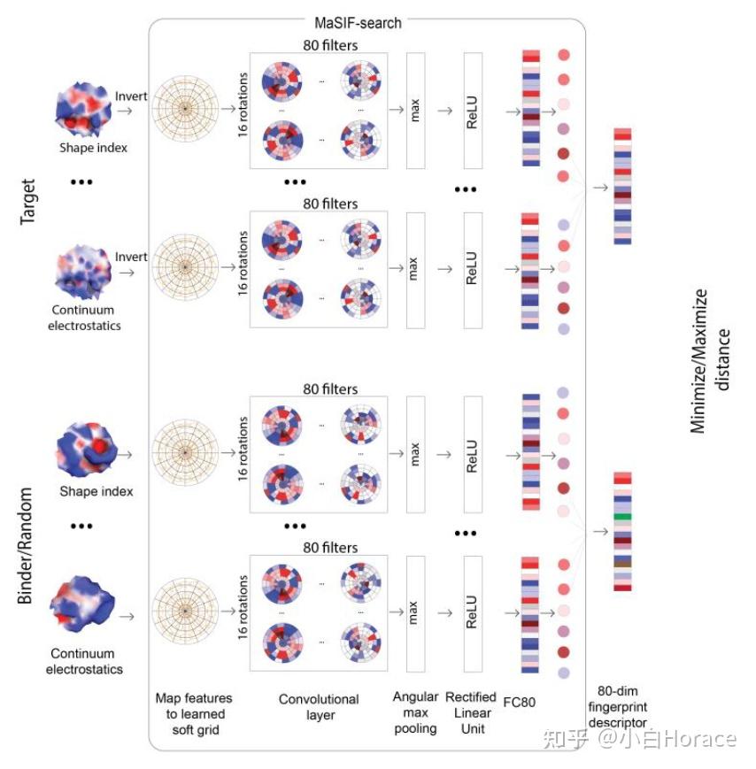 【AIDD系列】MaSIF系列论文详解，揭开蛋白表面指纹的面纱 - 知乎