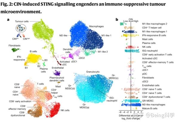 Nature | 为何STING激动剂抗癌效果不佳？背后黑手是…… - 知乎