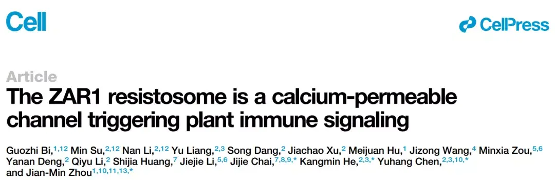 Cell突破！周俭民/陈宇航/何康敏/柴继杰合作揭示ZAR1抗病小体激活免疫反应的分子机制 - 知乎