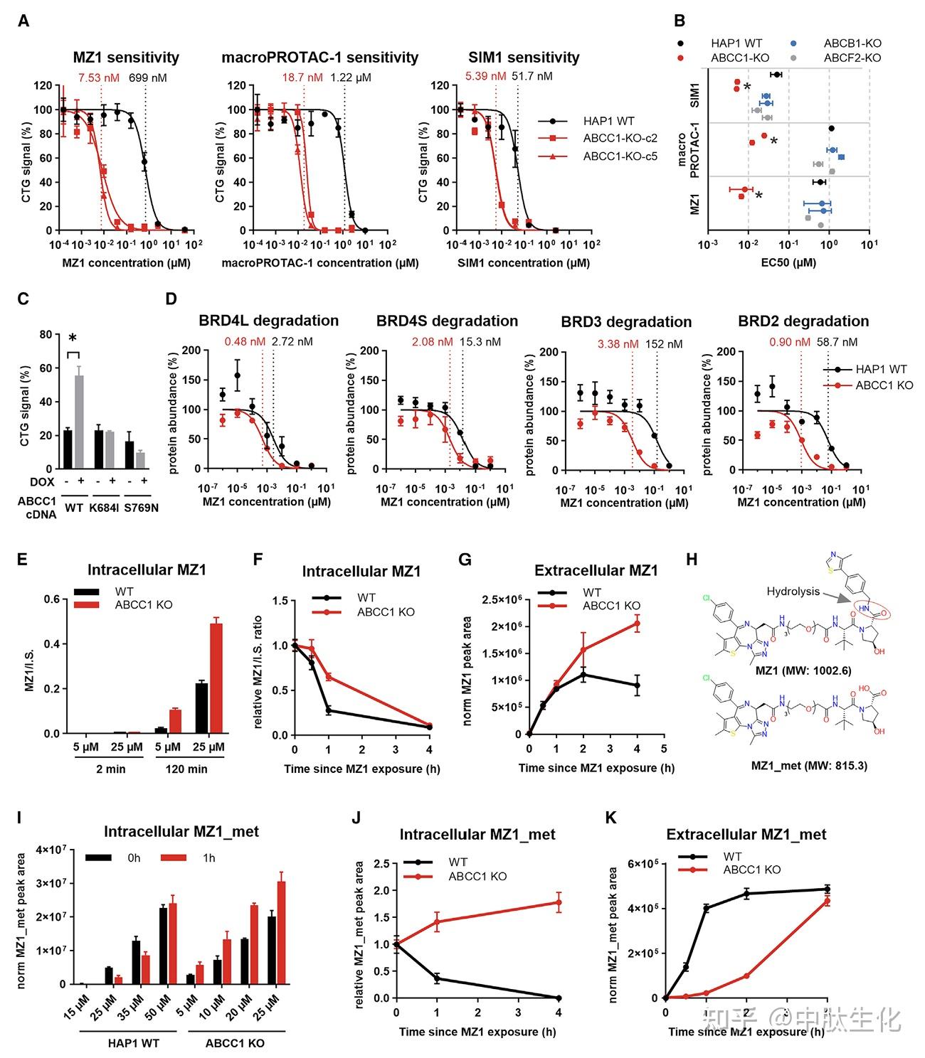 Cell Chem Biol重大发现！ABCC1竟成癌细胞抵抗PROTAC治疗的关键“屏障” - 知乎
