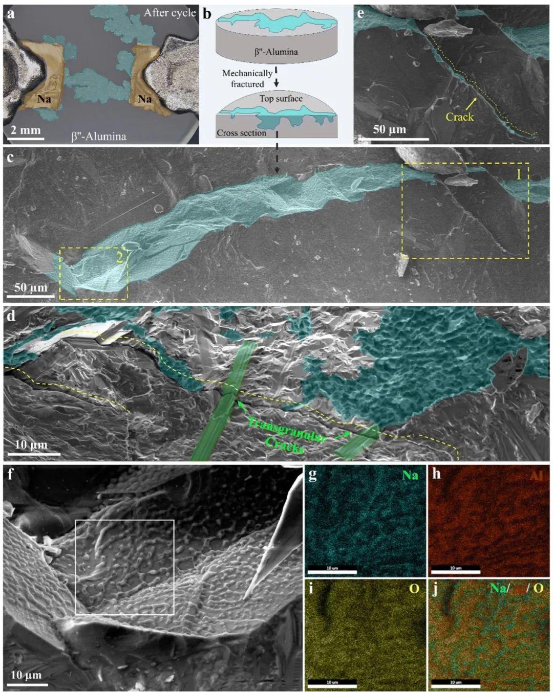 黄建宇最新EES：全固态钠电池中的枝晶生长动力学！ - 知乎