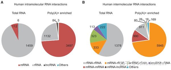 全基因组RNA-RNA interactions捕获技术解读（初） - 知乎