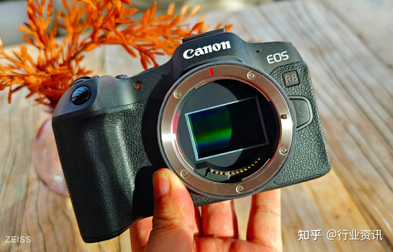 佳能上市时间较新的三款微单：R6 II、R8和R50各有什么优缺点？ - 知乎