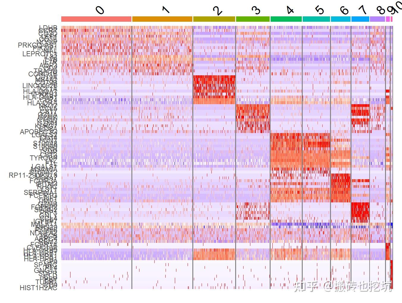 调包侠Seurat代码学习R-02 - 知乎