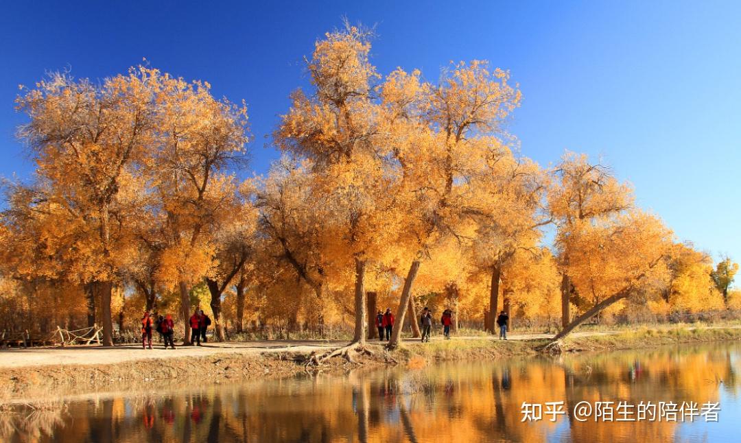 盘点中国最美的秋色 - 知乎