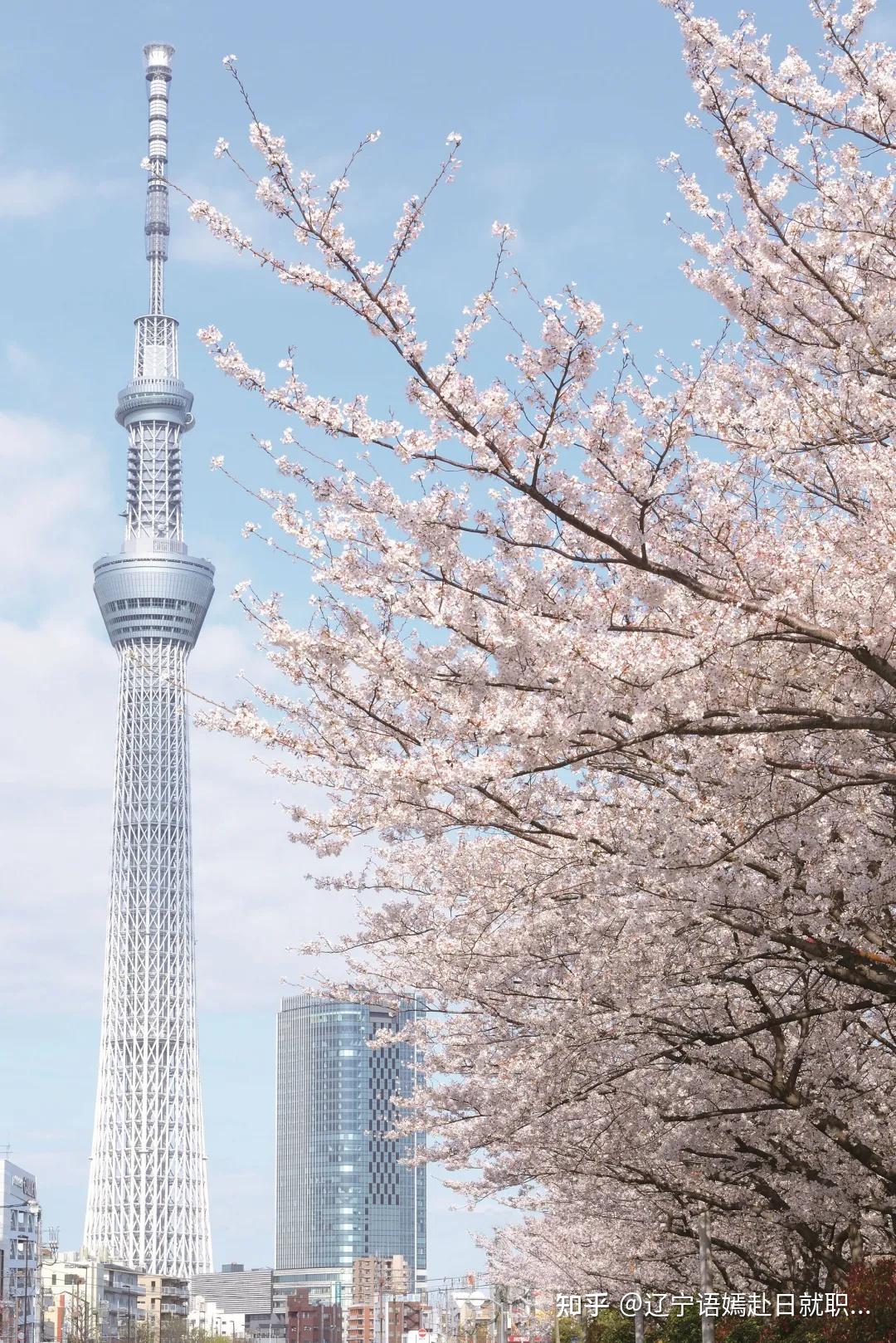 日本晴空塔有多牛？这些事也许你都不知道！~ - 知乎