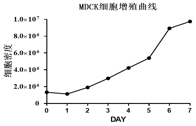前沿应用 | 【疫苗领域】使用3D微载体进行MDCK细胞培养 - 知乎