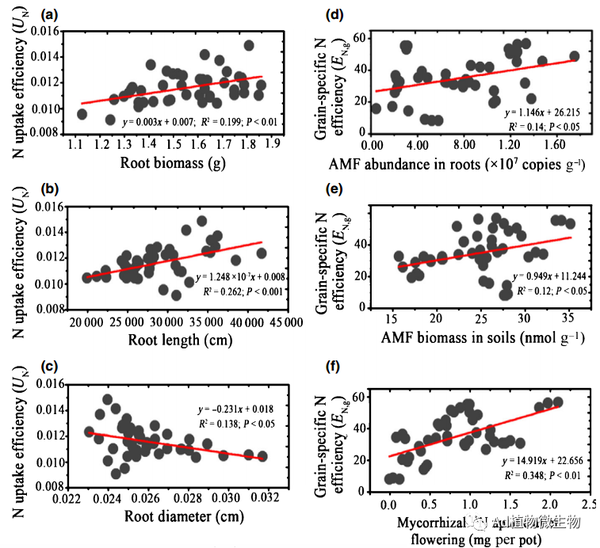 New Phytologist | 研究揭示菌根共生的时间互补性影响小麦氮素利用效率的机制！ - 知乎
