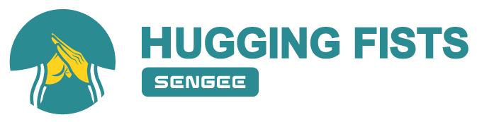 Hugging “HuggingFace” - 知乎