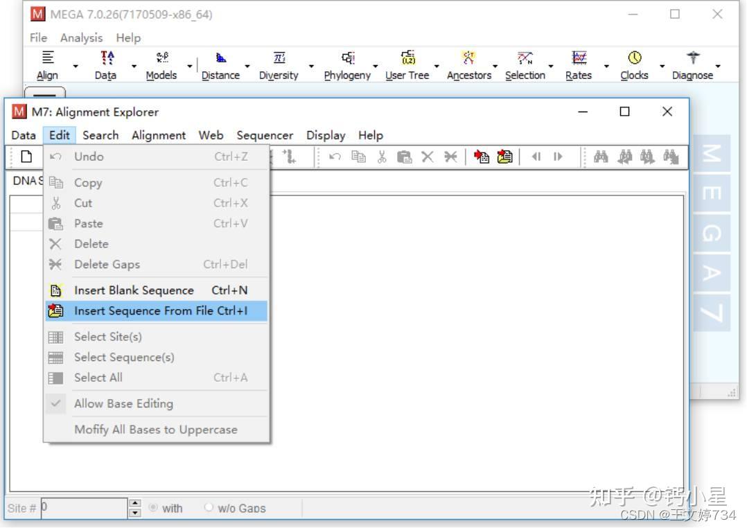 构建系统发育树~序列对比 MEGA、MAFFT（图文教程） - 知乎