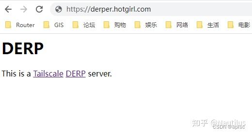 Caddy2学习笔记——Caddy2反向代理docker版本的DERP中继服务器 - 知乎