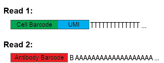 【单细胞组学】CITE-seq-Count：分析CITEseq测序数据 - 知乎