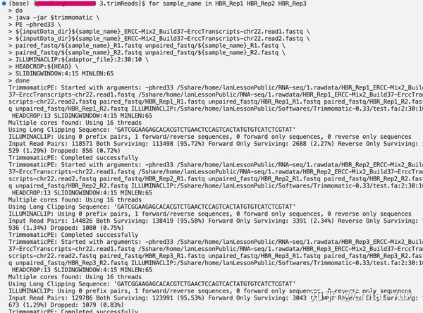 bulk RNA-seq 详细笔记版 - 知乎
