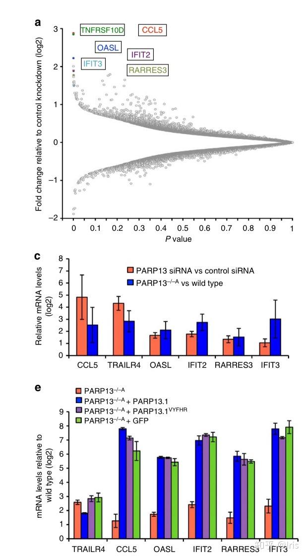 【每日阅读】PARP13通过扰乱TRAILR4转录本对细胞mRNA进行转录后调控并起到凋亡后因子的作用 - 知乎