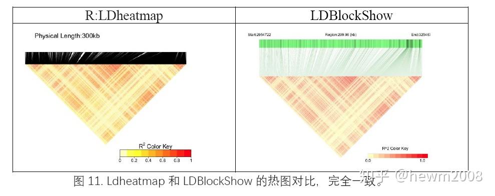 连锁不平衡LD (popLDdecay+ LDBlockShow) - 知乎