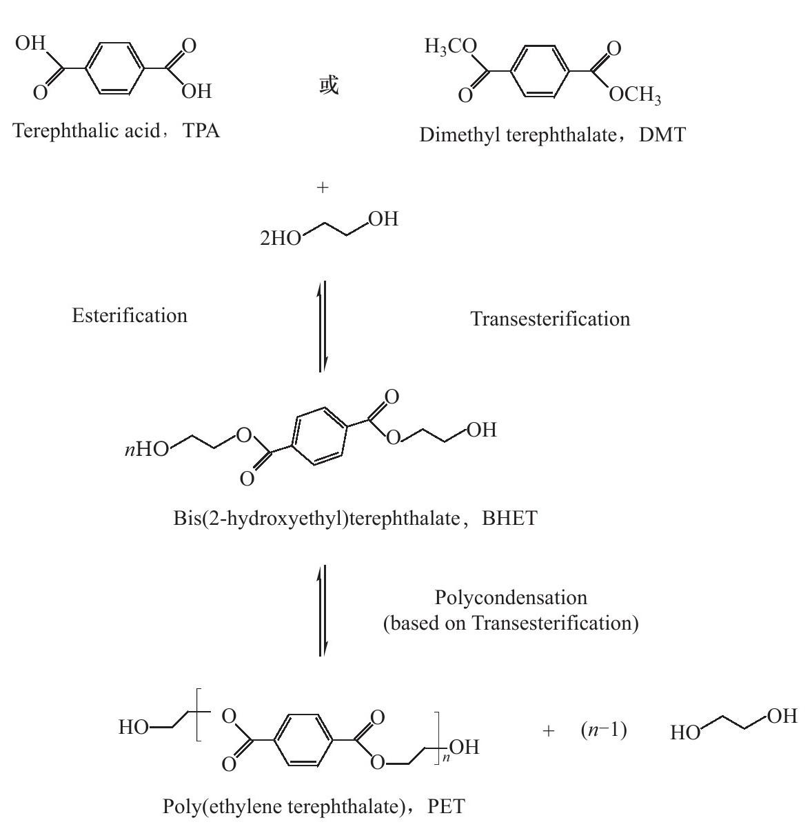 知乎盐选 | 第一节 PET 的化学解聚
