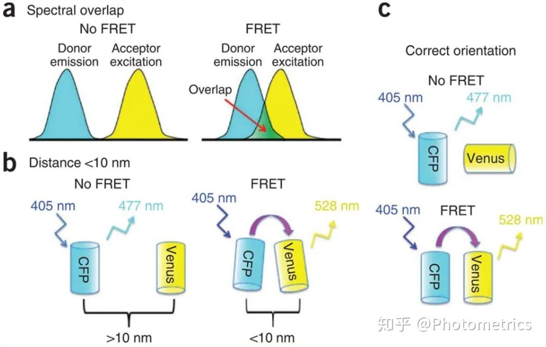 单分子荧光成像概述 - 知乎