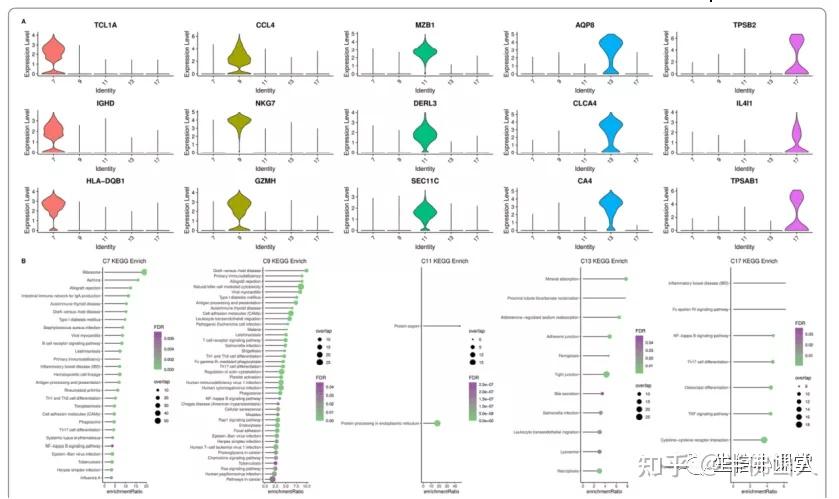 最近7.7分SCI，单细胞分析+WGCNA+实验验证，有实验条件者可轻易模仿，肿瘤非肿瘤均适合！ - 知乎