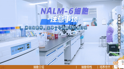 NALM-6细胞培养，人急性淋巴细胞白血病细胞培养攻略 - 丰晖生物 - 知乎