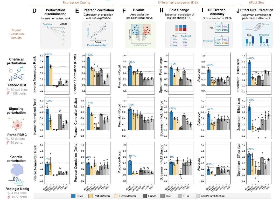 继 Evo 2 之后，Arc Institute 发布首个虚拟细胞模型 STATE，训练数据涉及 70 种不同细胞系 - 知乎