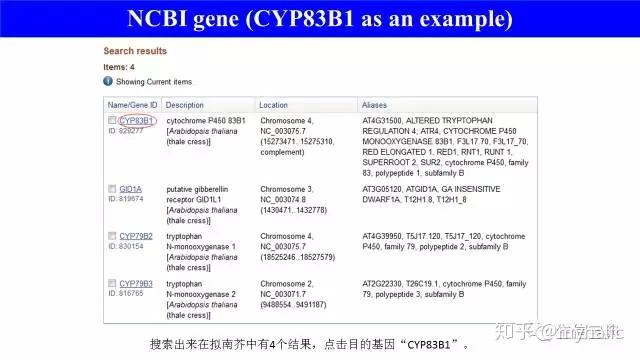 生信软件系列 - NCBI使用 - 知乎