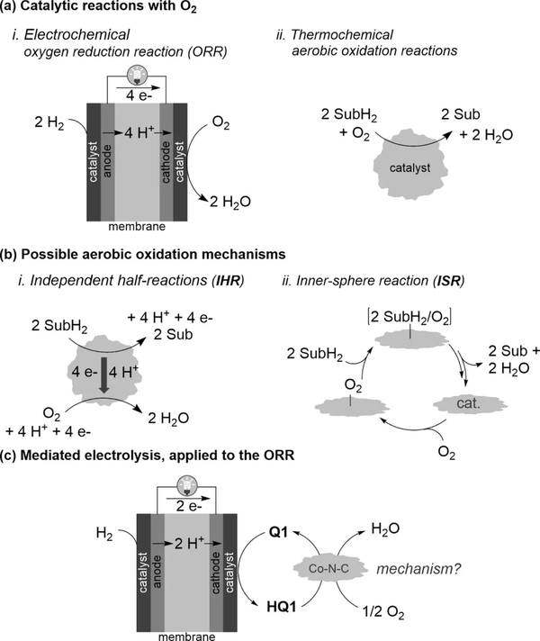 M-N-C催化剂今日JACS：探究热化学与电化学O2还原机理相关性 原创2022-01-06 13:17·邃瞳科学云 - 知乎