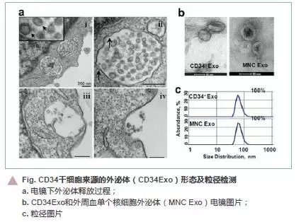 外泌体研究套路 - 知乎