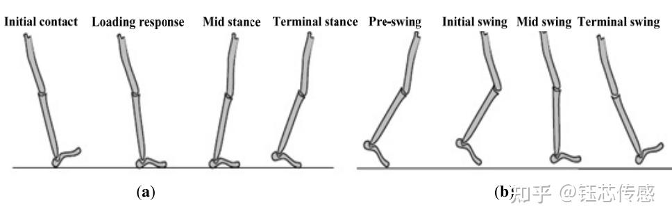 科学研究||新型可穿戴传感器——通过分析步态监测健康状况 - 知乎