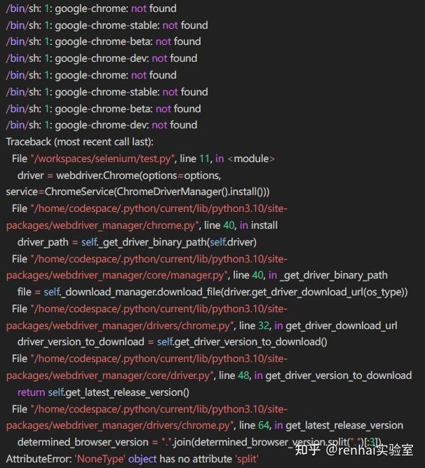 如何在Github的Codespace上安装chrome浏览器并使用selenium - 知乎