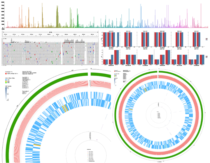 WGS(全基因组测序)/WES(全外显子组测序)/WGRS(全基因组重测序)分析与可视化教程 - 知乎