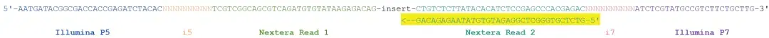一文搞懂 Illumina 接头序列 - 知乎