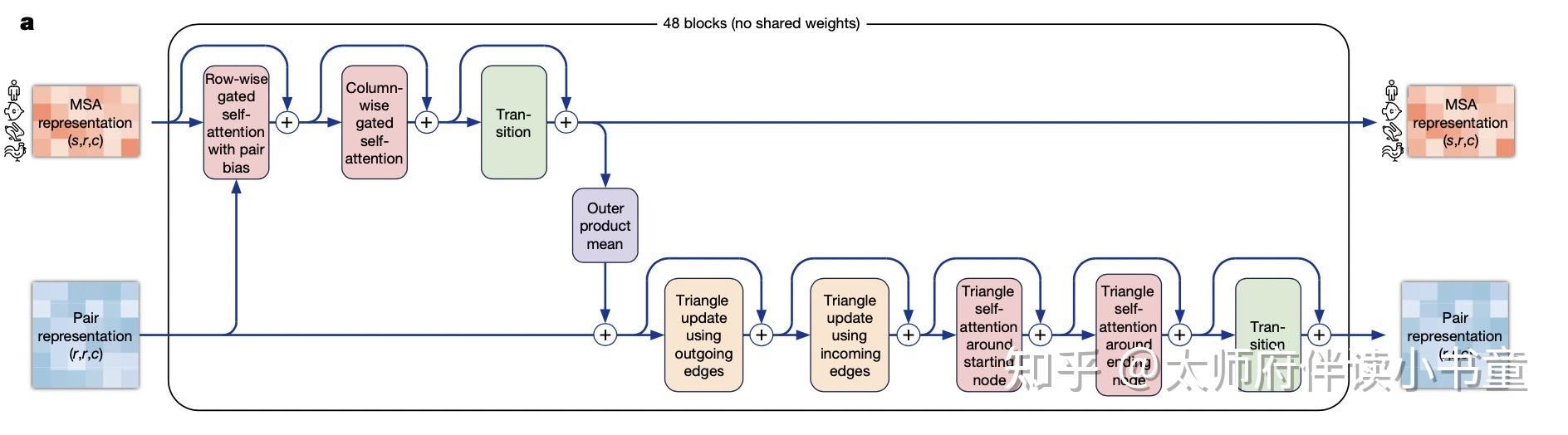 GoDeep系列（十）：AlphaFold 2模型结构拆解（框架） - 知乎