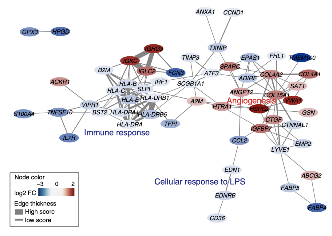 【SCI图表复现】基因功能网络图 - 知乎