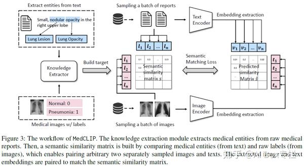 Multimodality in Medical Domain：一文速览医学多模态进展 - 知乎