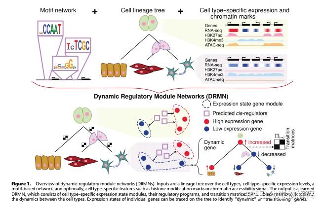 每日文摘 | 2022年07月30日 - 知乎