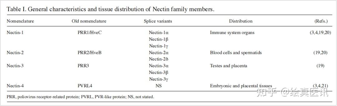 【绘真科普】细说Nectin-4蛋白与癌症之间的发生、预后和靶向治疗 - 知乎
