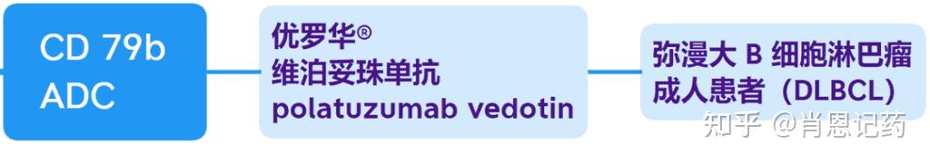 记住所有FDA生物药 | 靶向CD79b | 优罗华®维泊妥珠单抗 | 弥漫大B细胞淋巴瘤 - 知乎