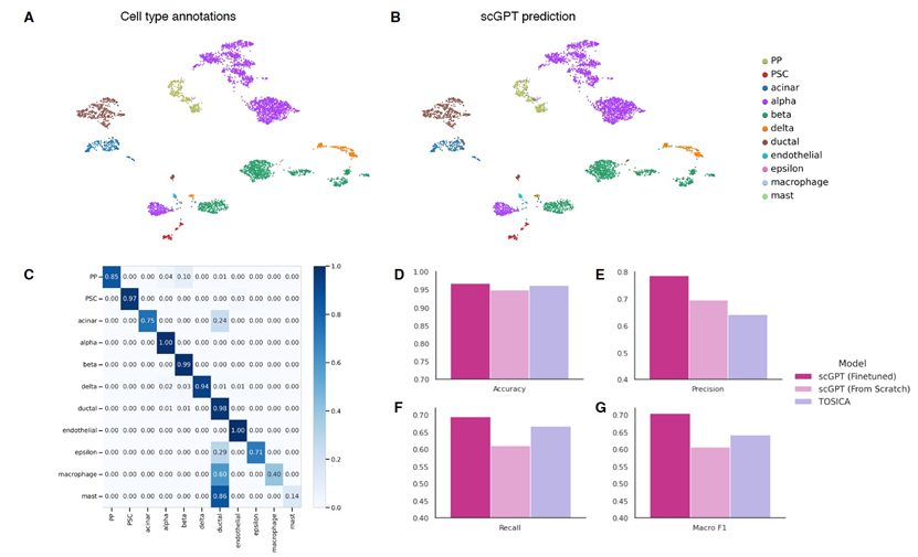 scGPT: 基于生成式人工智能构建单细胞多组学的基础模型 - 知乎
