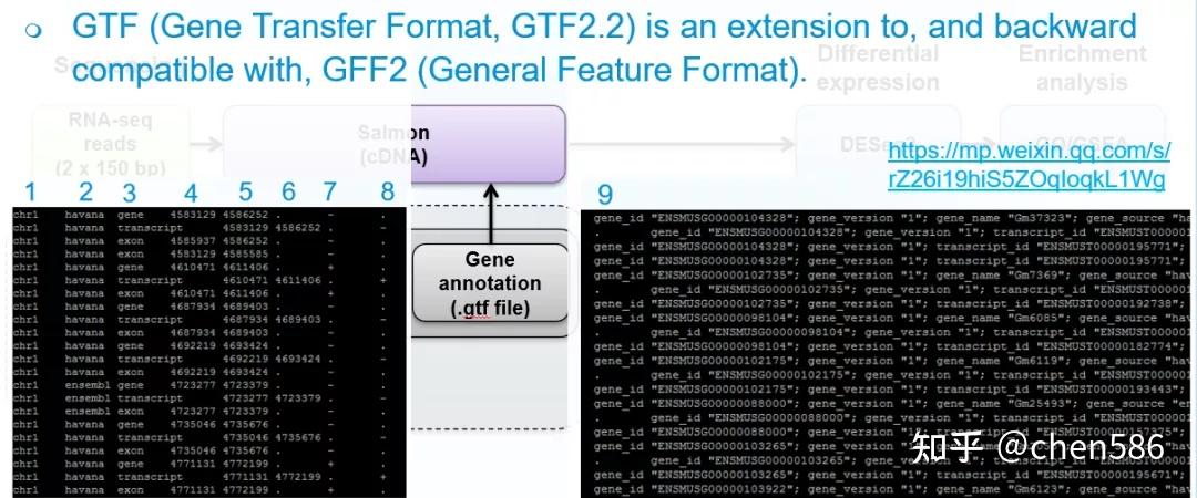 基因组中的趣事（一）：这个基因编码98种转录本 - 知乎